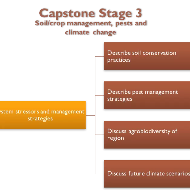 Capstone Project Stage 3