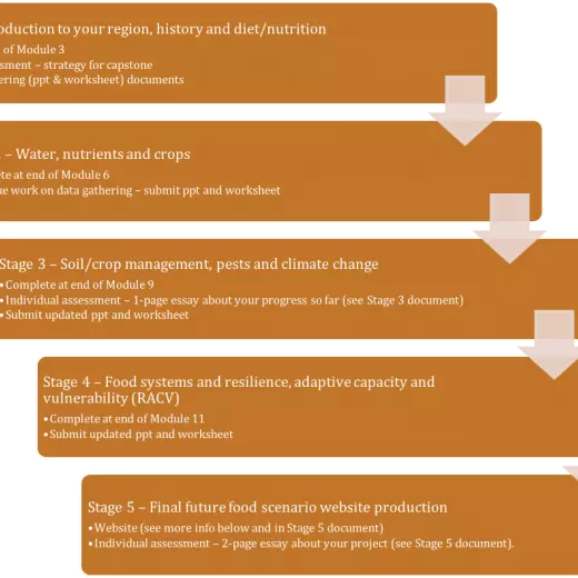 Capstone Project Overview