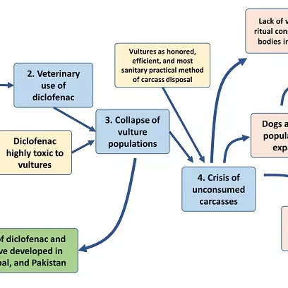 Complex Systems Behavior: An Example from India