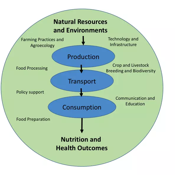 Food Systems: Environments, Production, Distribution, and Household ...
