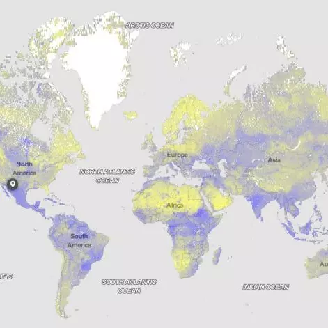 Formative Assessment
