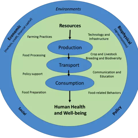 Food System Definition and Components