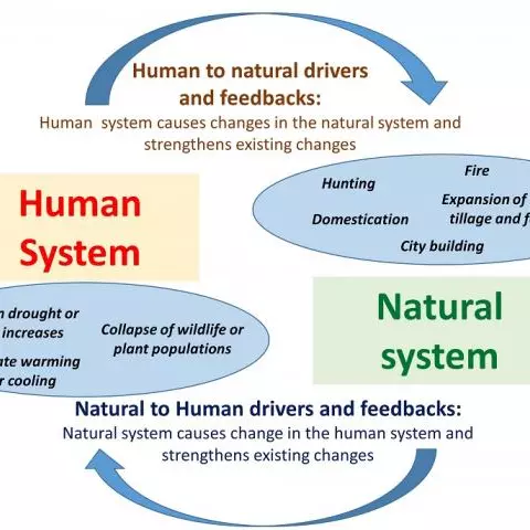 Explaining Domestication using Coupled Human Natural Systems (CHNS)