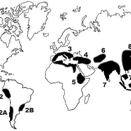 Geographical Sites and Ecological Components of Agricultural Domestication