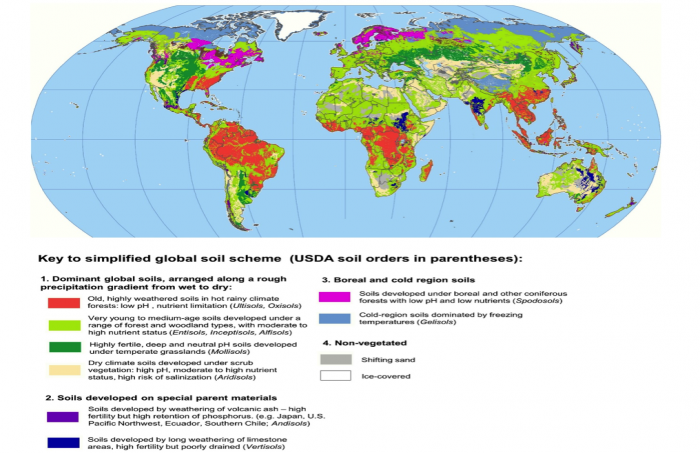 Shifting Cultivation World Map