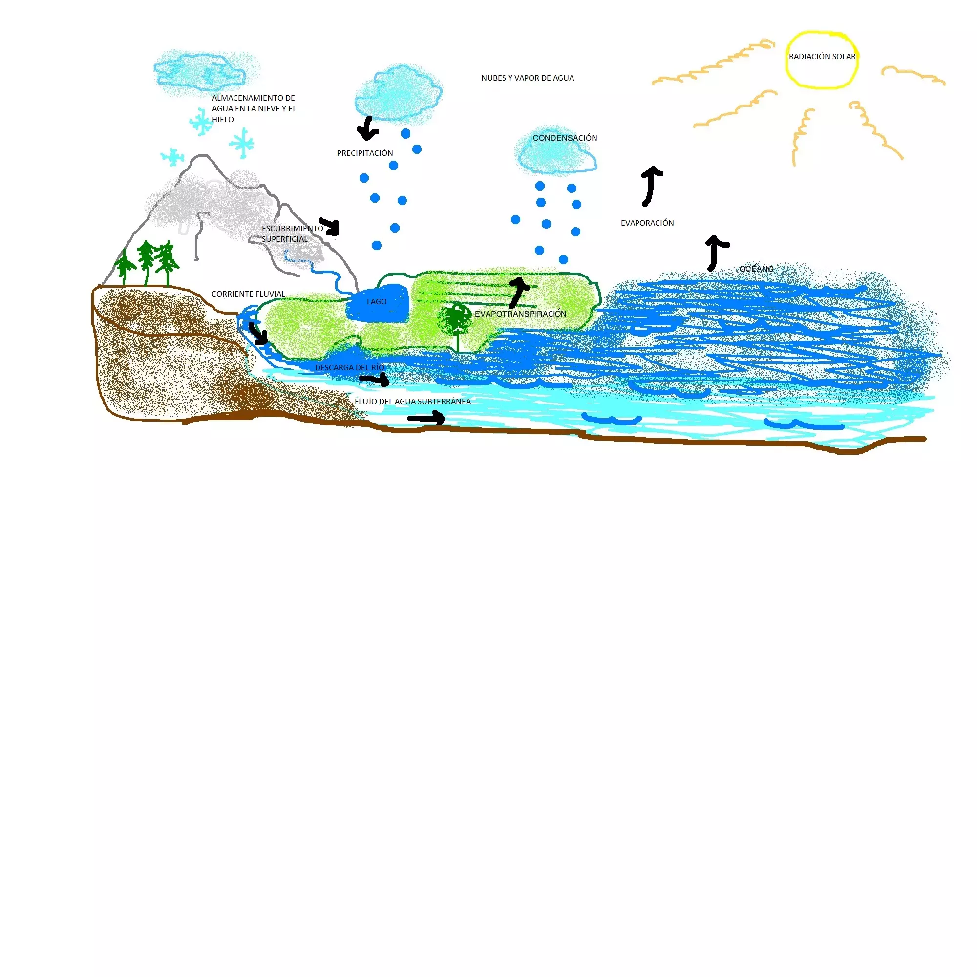 Unit 2: The Water Cycle and Freshwater Resources