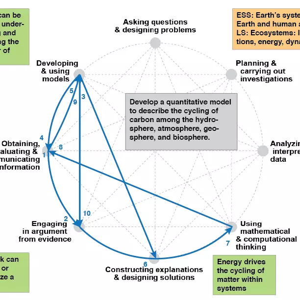 Investigating the cycling of carbon within and between systems