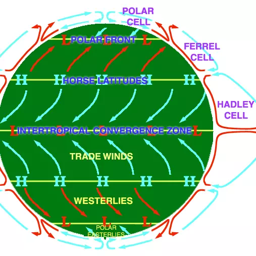coriolis effect trade winds