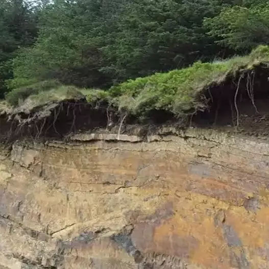 Critical Zone Science: A transdisciplinary approach to environmental ...