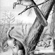 The Modern Synthesis: A Historical Approach