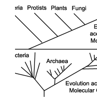 Mechanisms of Evolution Links