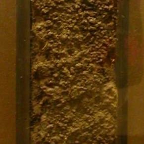 Making a Soil Monolith