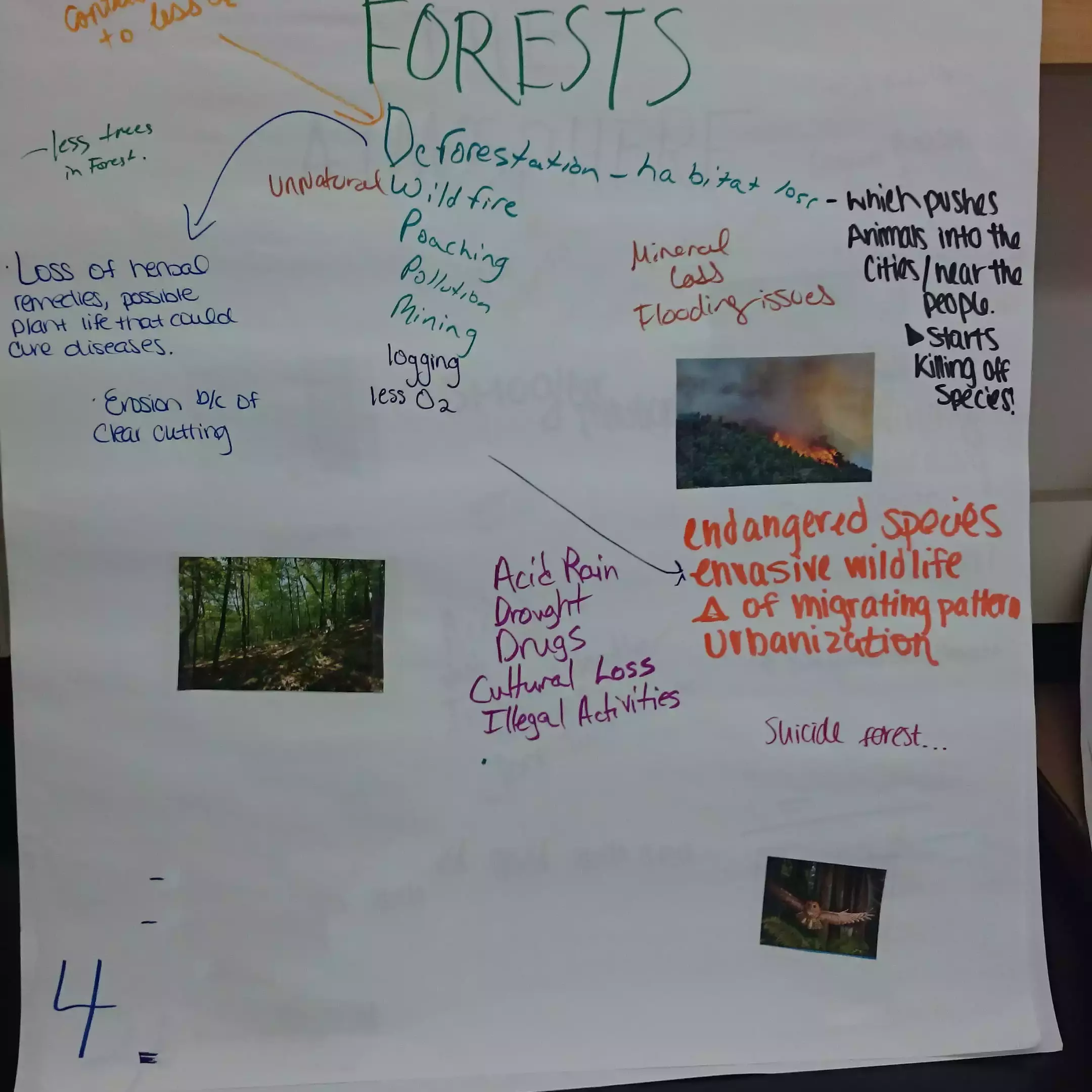 Environmental Science Gallery Walk