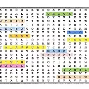 Computer Fraud Word Search