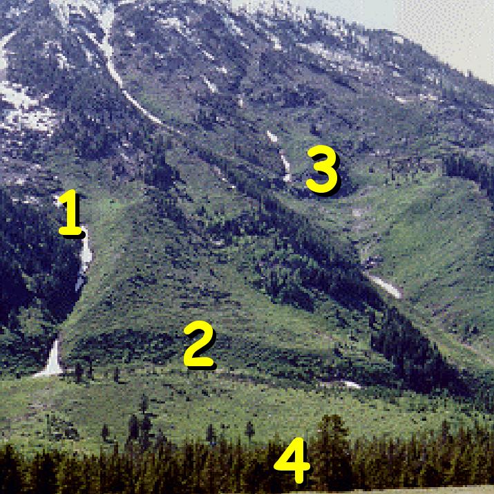 ConcepTest: Fault Scarp