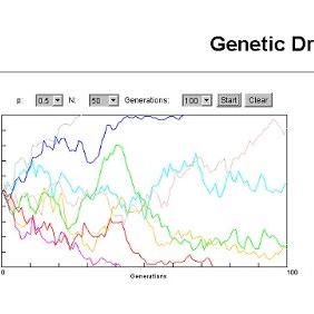 Genetic Drift Diagram