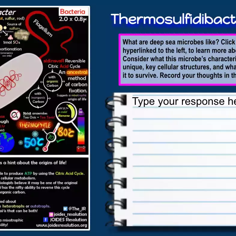 Deep Sea Microbes Jigsaw