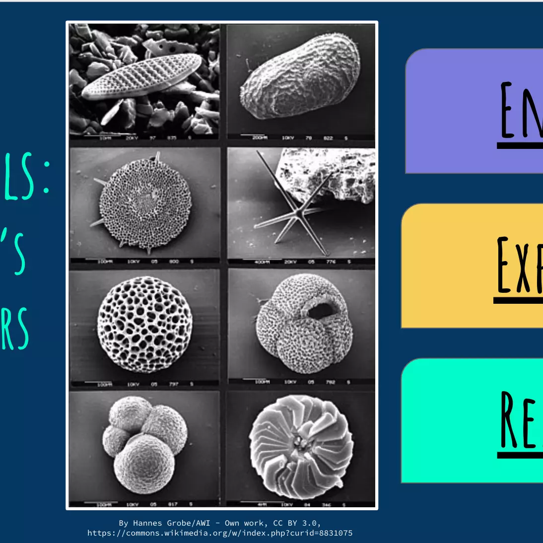 Microfossils Playlist