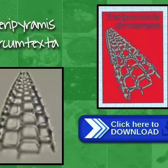 3D Printing Microfossils