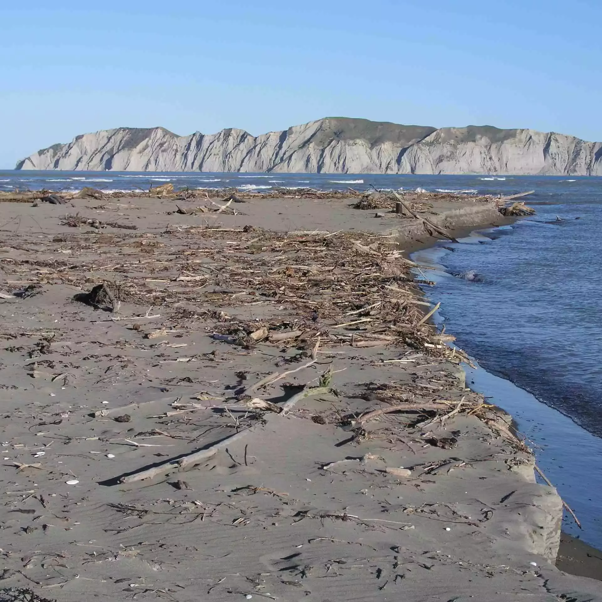 Sediments and carbon burial on the continental margins