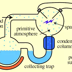 Miller-Urey Experiment