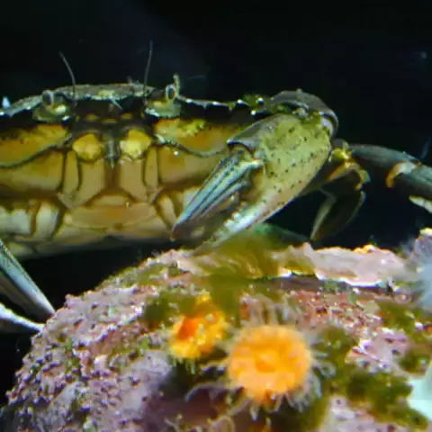 Linear Regression: Practice Problems