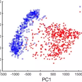 Developing Computational Skills in the Sciences with MATLAB