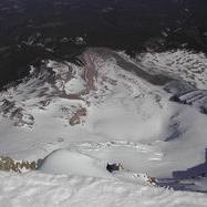 Microbial Life in Cold Environments General Collection