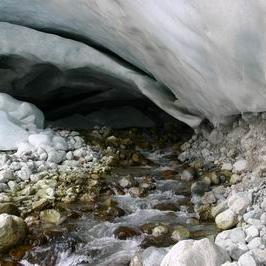 Microbial Life in Very Cold Environments