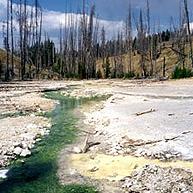 Microbial Life in Acidic Environments
