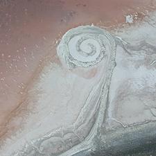 Microbial Life in Hypersaline Environments
