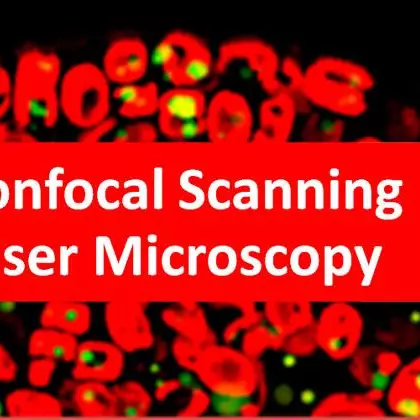Inverted and Upright Confocal Scanning Laser Microscopes at the Center ...