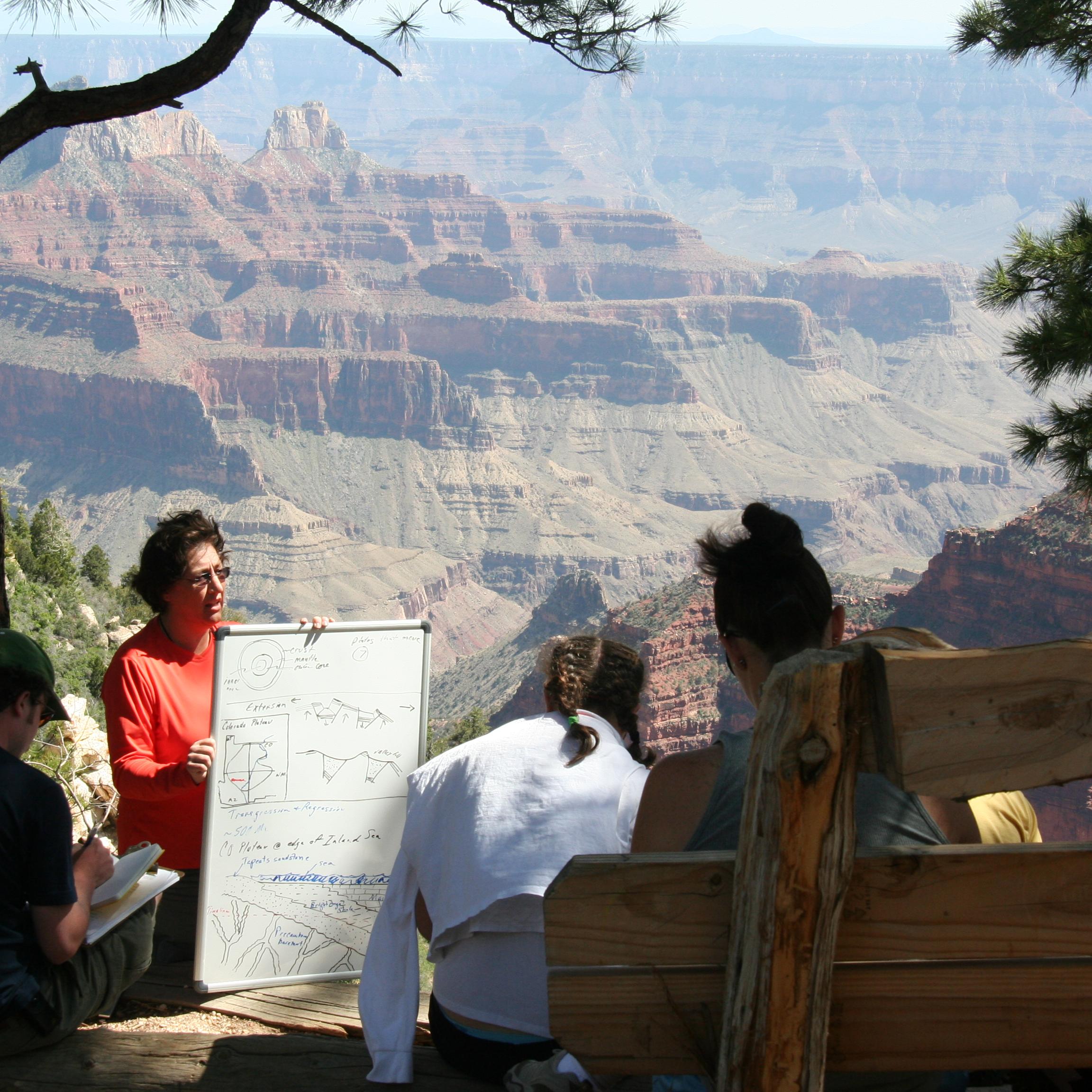 Teaching in the Field Across the Geoscience Curriculum