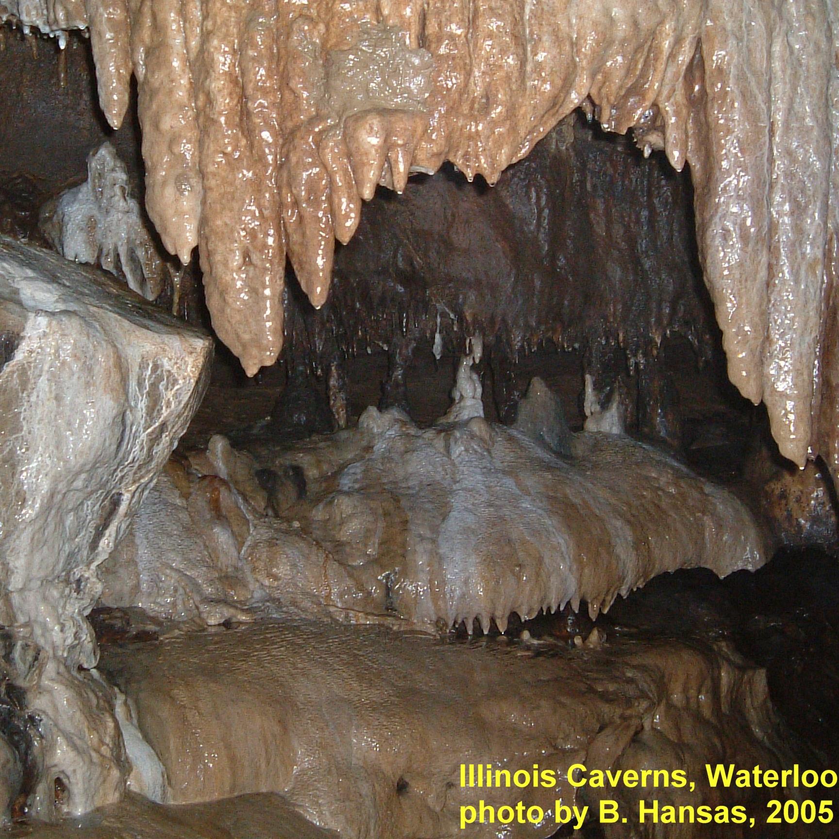 Illinois Caverns Field Trip