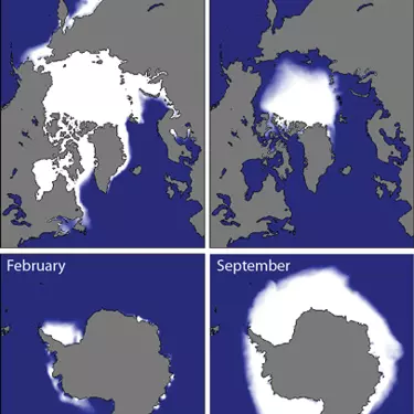 Module 3 Sea Ice as an Indicator of Climate Change
