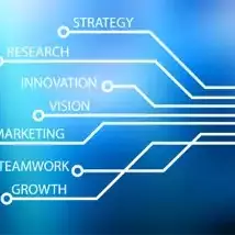 Organizational Evolution and Effectiveness