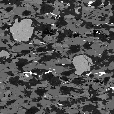 Back-scattered Electron Detector (BSE)