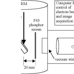 Electron Backscatter Diffraction (EBSD)