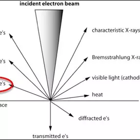 Electron-Sample Interactions