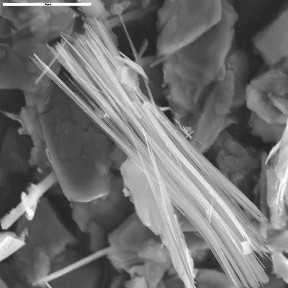 Scanning Electron Microscopy (SEM)