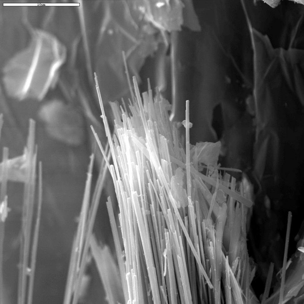 Scanning Electron Microscopy (SEM)