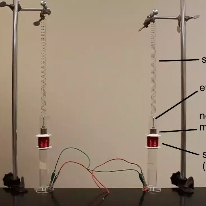 A simple motor/generator demonstration for use in interactive lecture