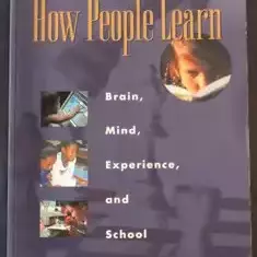 Novice versus Expert Learning