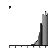 Making and Testing Conjectures