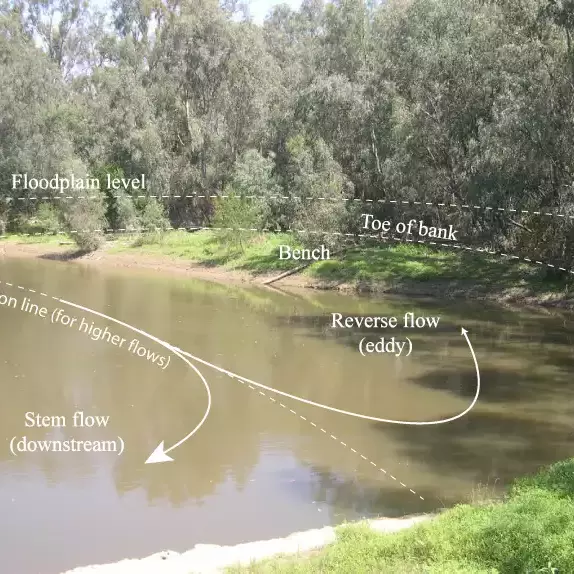 The role of hydraulics in fine-grained sedimentation within river ...