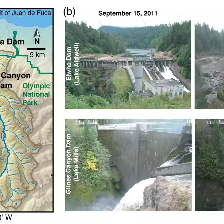 Restoration of the Elwha River system, Washington, through dam removal