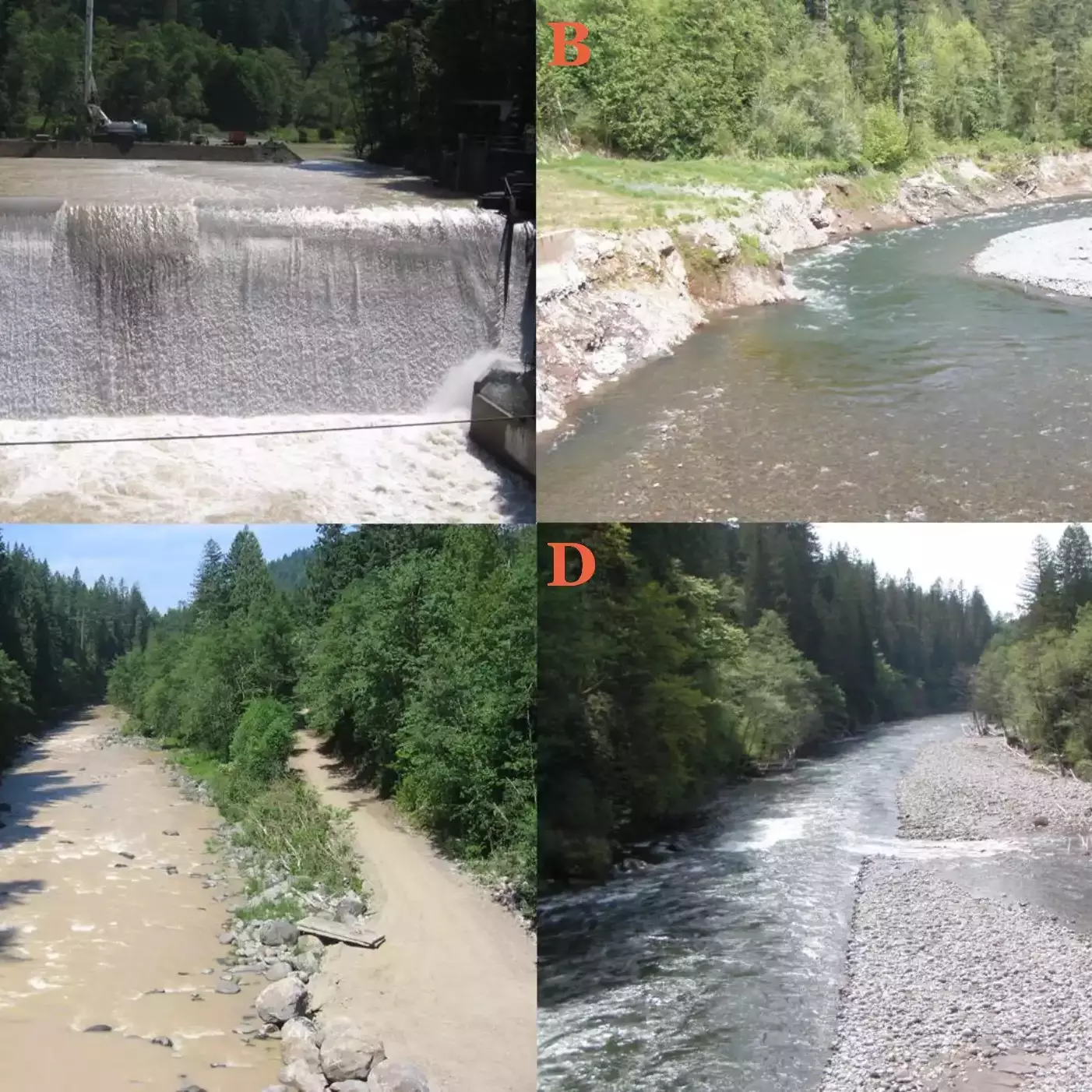 An Example of One River's Response to a Large Dam Removal