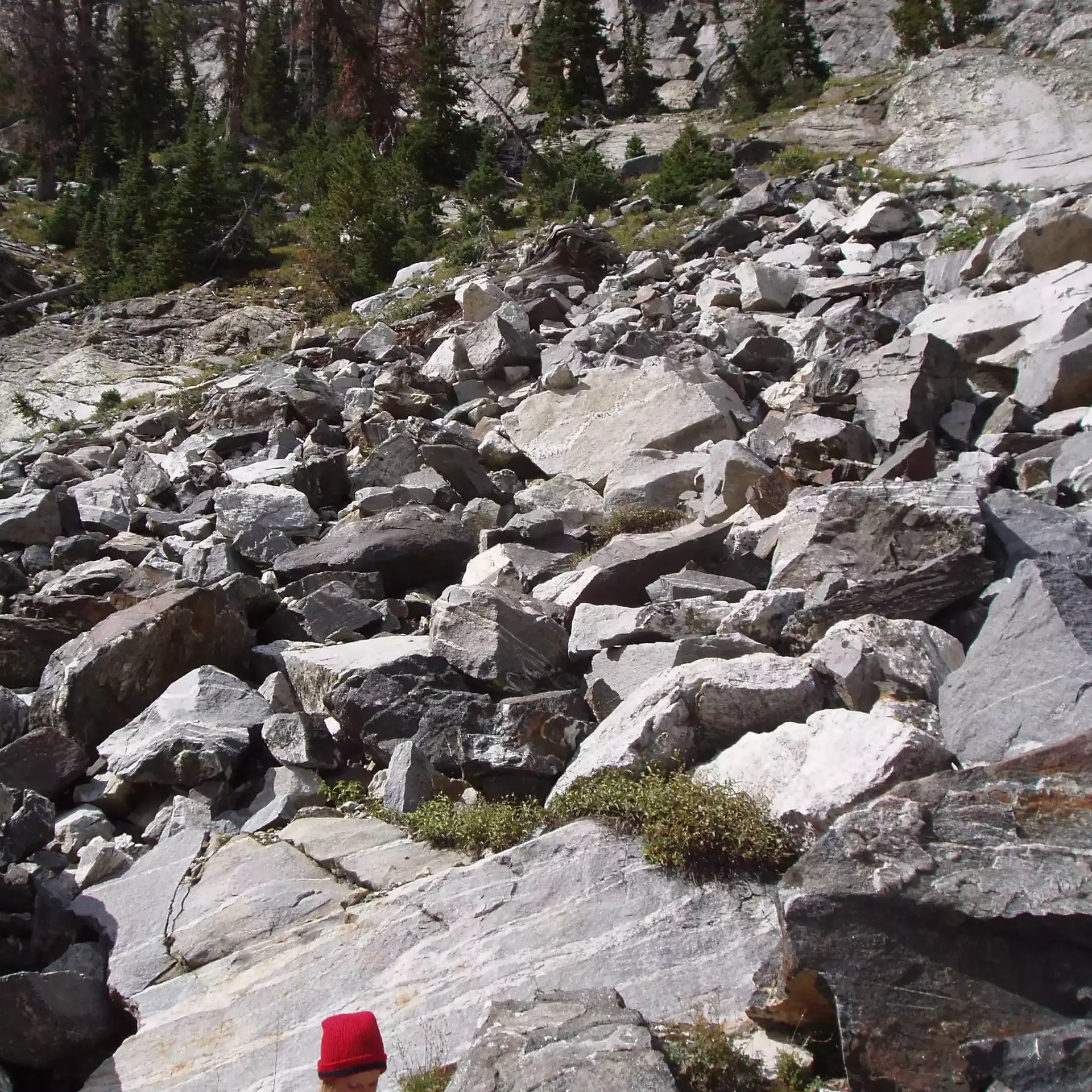 Influence of rock falls, rock strength, and joint orientation on ...